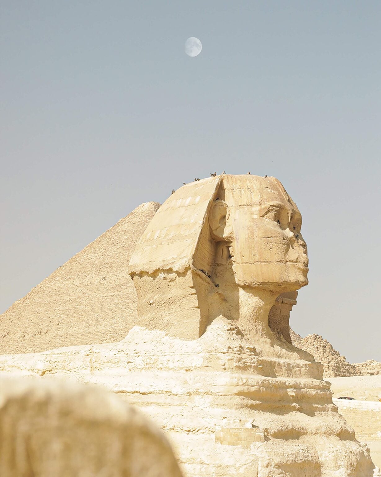 27 Ancient Symbols of Royalty and Their Meaning - Attalie Anne